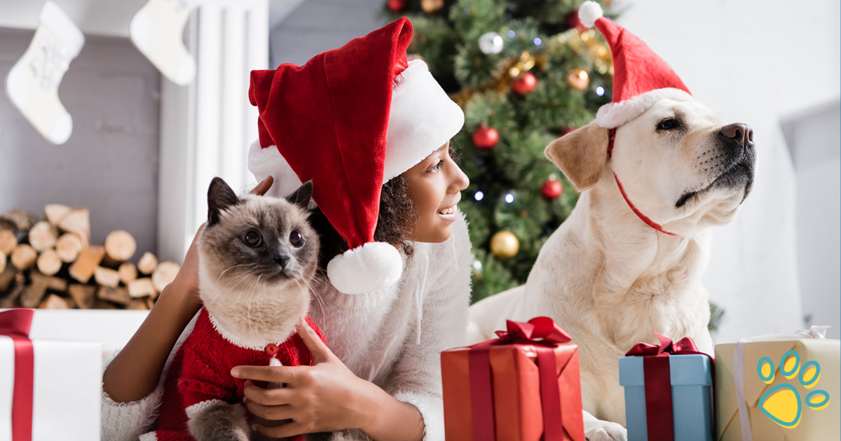 Holiday Traditions for You and Your Pet | Laurel Veterinary Clinic